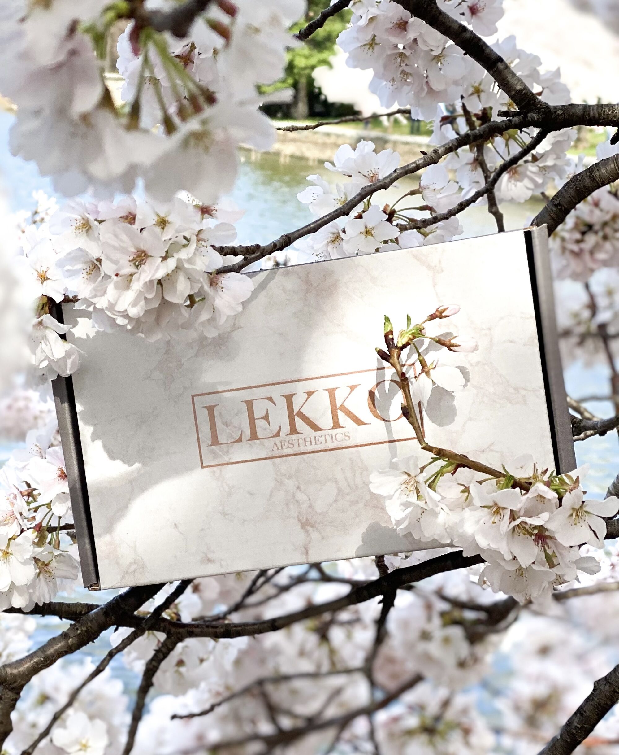 Home - Lekko Aesthetics